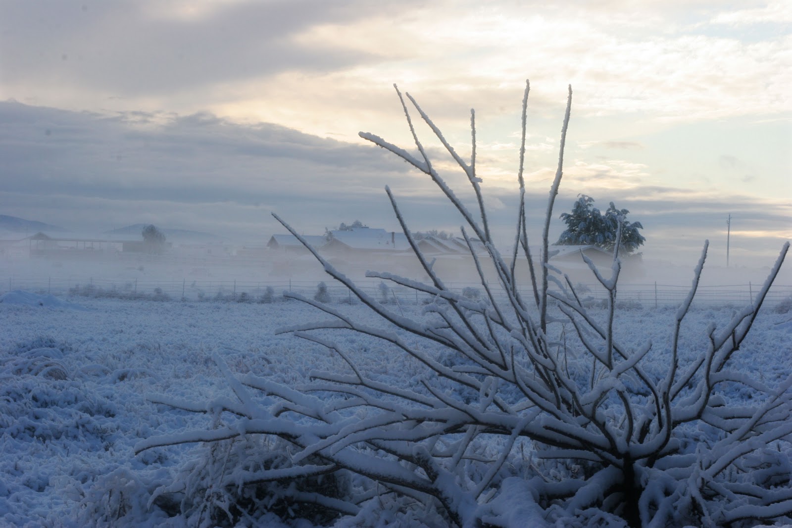 The Nelson Family Blog