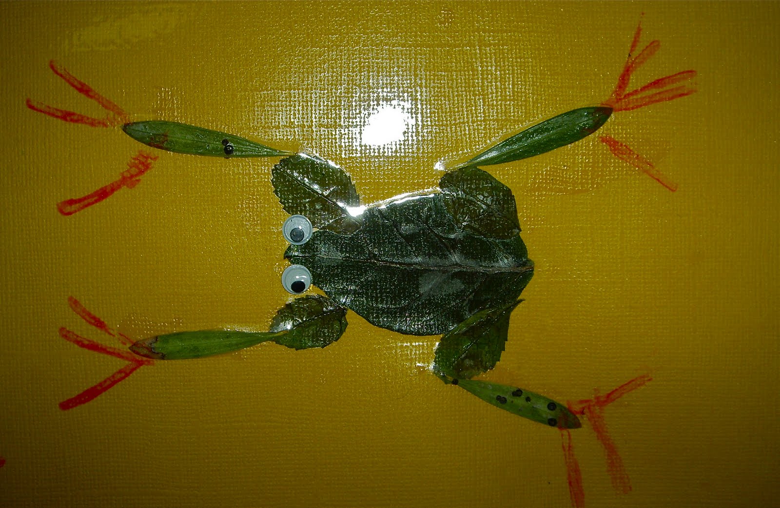 Use Your Coloured Pencils: Green Tree Frogs