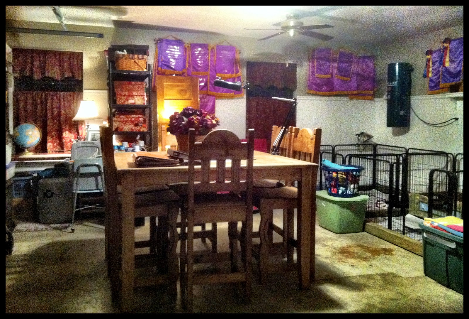 Mrs. G's Corgi Camp: The Puppy Room