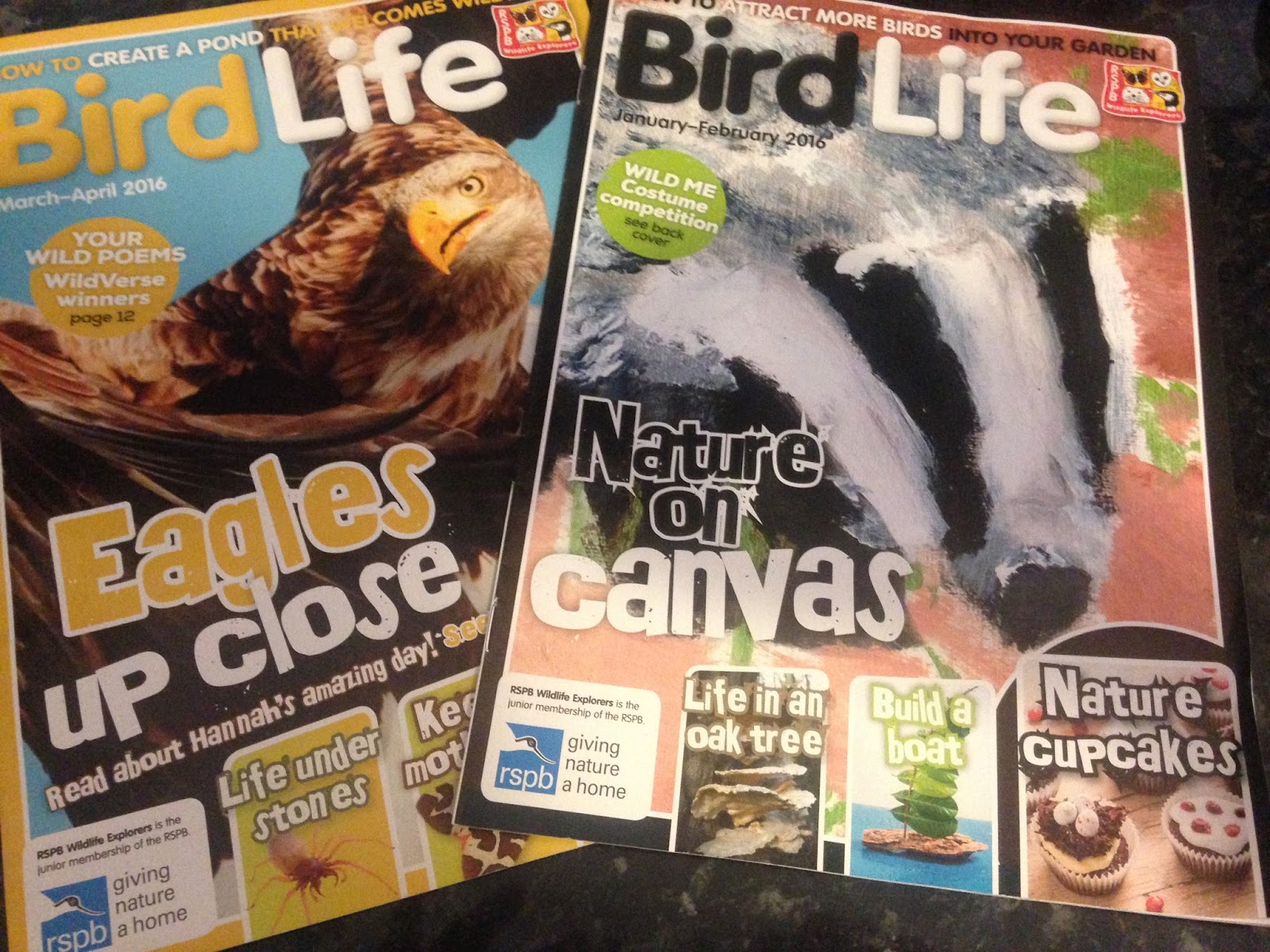 Life With The Speeds: RSPB