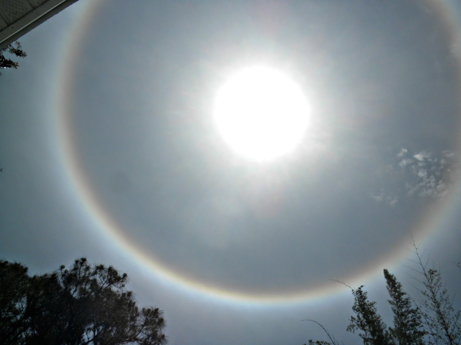 MadSnapper: Solar Halo