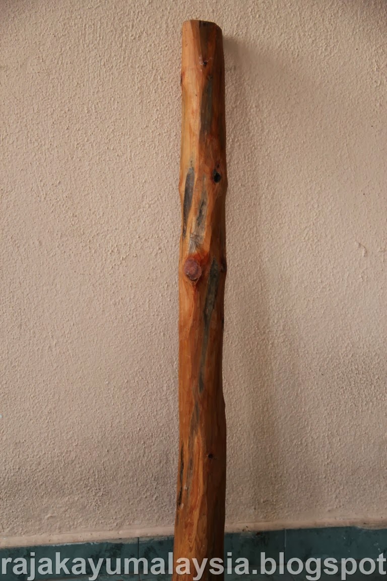 Raja Kayu Malaysia: Raja Kayu