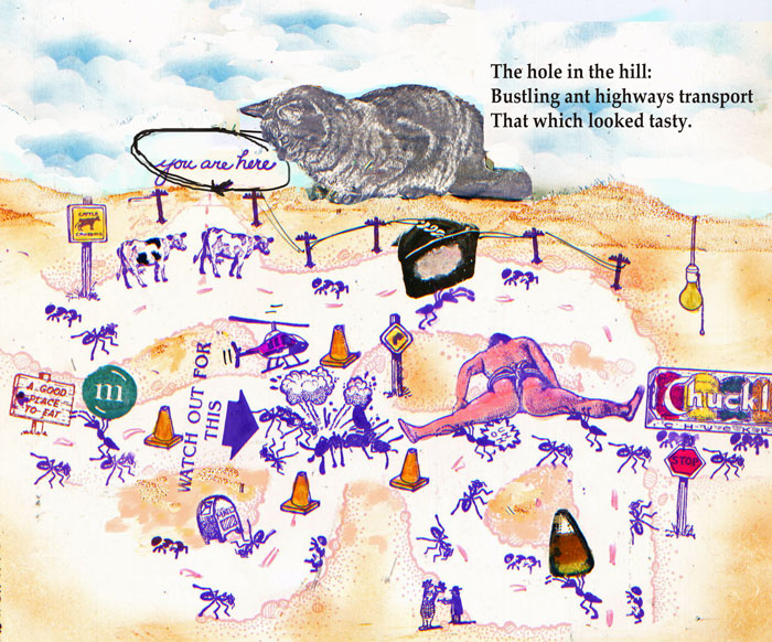 An ant haiku | DIANE MOLINE