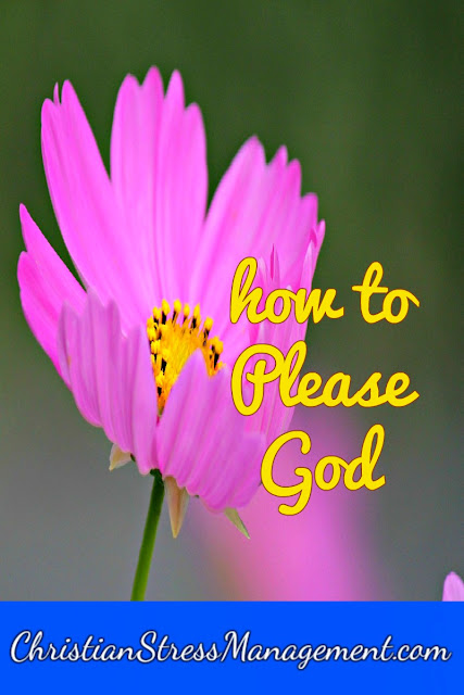 Christian Stress Management: How to Please God
