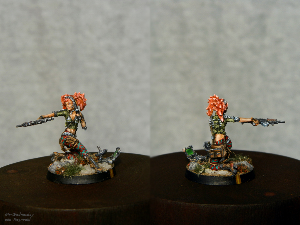 Ancient Plot: Caledonian Highlander Army