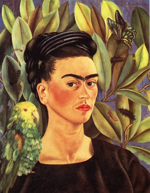 Animal Self Portrait: Frida Kahlo