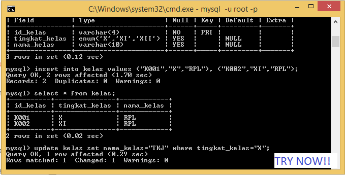 Cara Mengupdate Data Tabel DataBase di CMD - Try Now