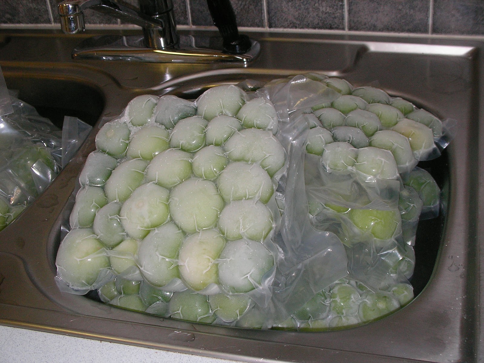 Vacuum Packer and Cryovac Vacuum Sealing By PMG: Small Batch Retort Canning