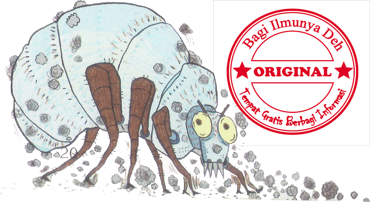 Infounik dan Menarik: Kutu busuk