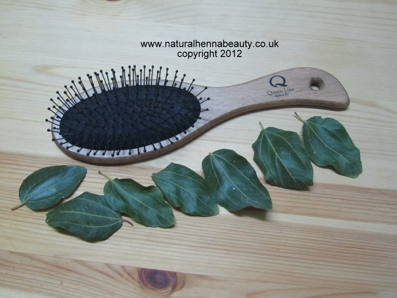 Herbal Remedies in Islaam: Sidr