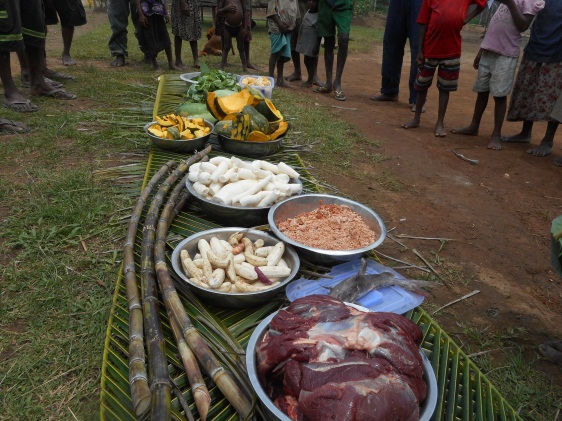Village showcases locally harvested food - One Papua New Guinea