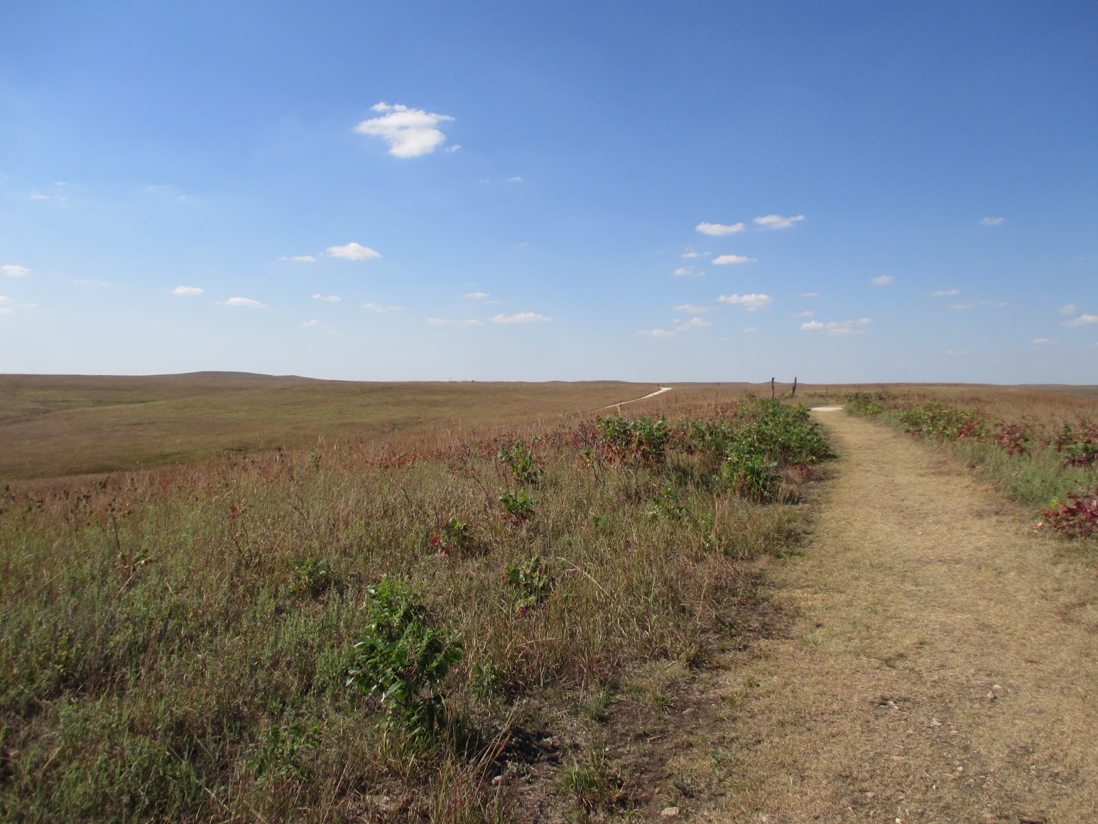 Backyard Excursions: Tallgrass Prairie National Preserve
