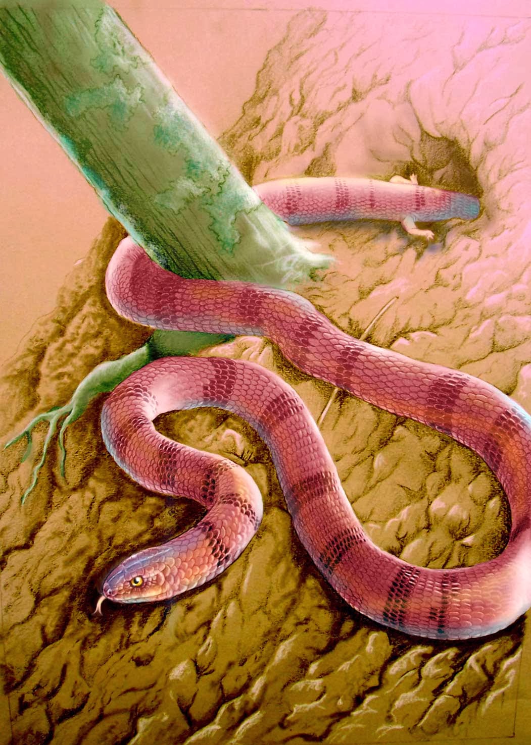 Species New to Science: [Palaeontology • 2006] Najash rionegrina • A ...