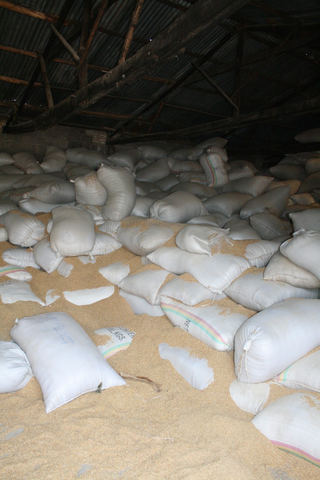 REPORTS from RWANDA: Rice Farmer Meets Rice Farmers