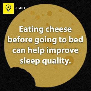 Eating cheese before going to bed can help improve sleep quality. ~ 8FACT