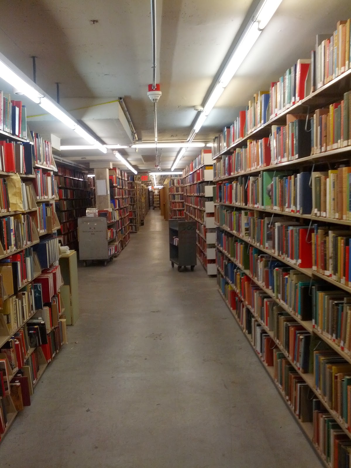 Reederama: A Librarians' Outing