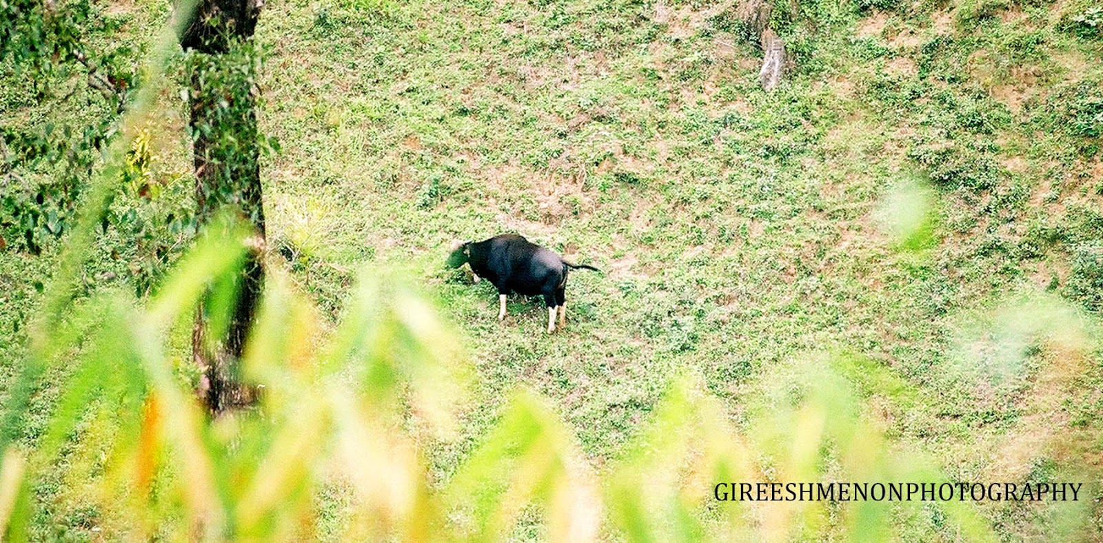 land and life through camera - Gireeshmenon: Arunachal Pradesh - Land ...