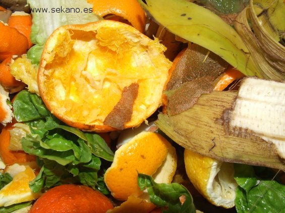 Ecologicas: Residuos Biodegradables