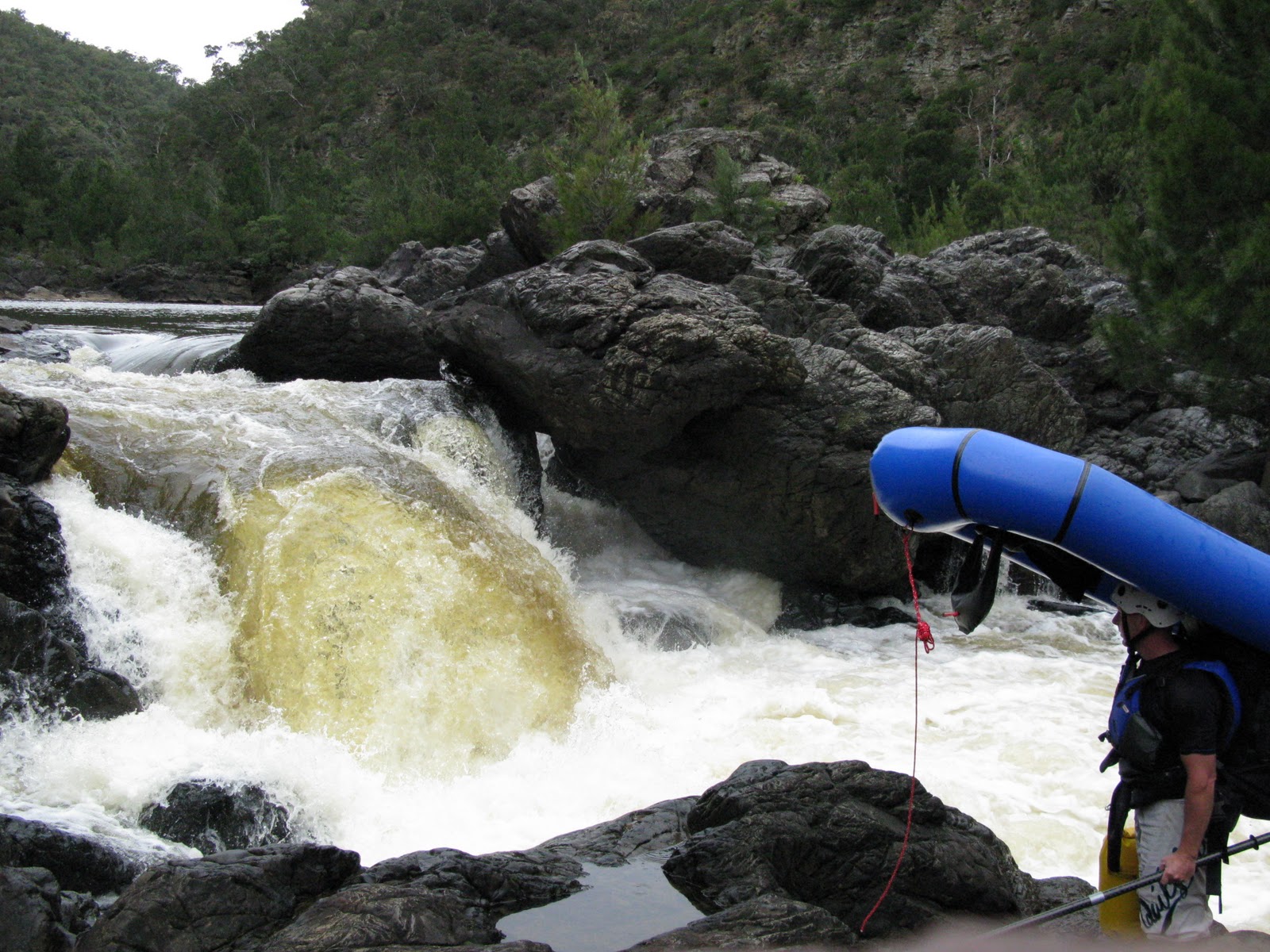 Darren M: WELCOME REEF TO SEWELLS POINT