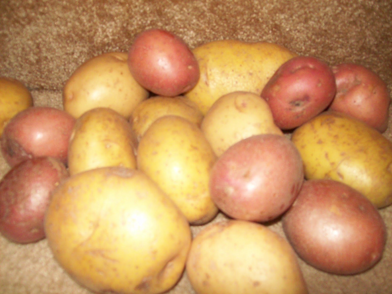 Building Food Storage and Using It: Make Your Own Dehydrated Potatoes