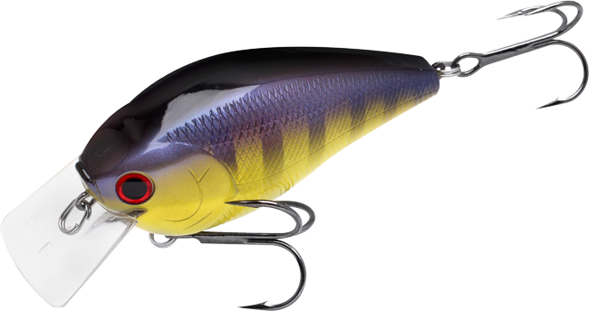 The Rogue Outdoors: A Guide to Crankbaits