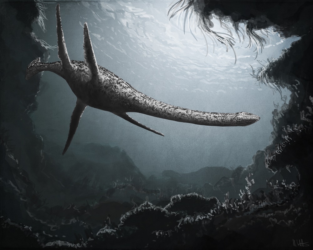 Mark P. Witton's Blog: Plesiosaur palaeoart: thoughts for artists