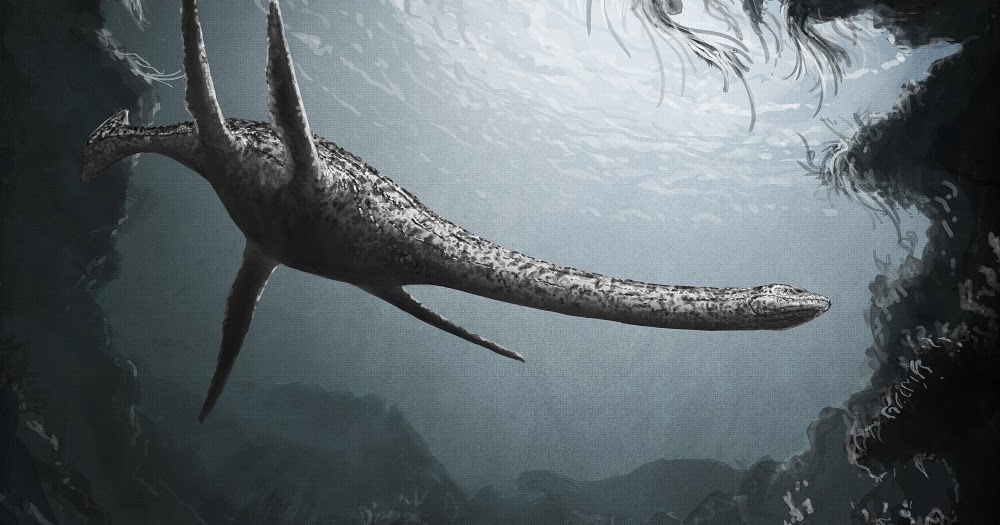 Mark P. Witton's Blog: Plesiosaur palaeoart: thoughts for artists