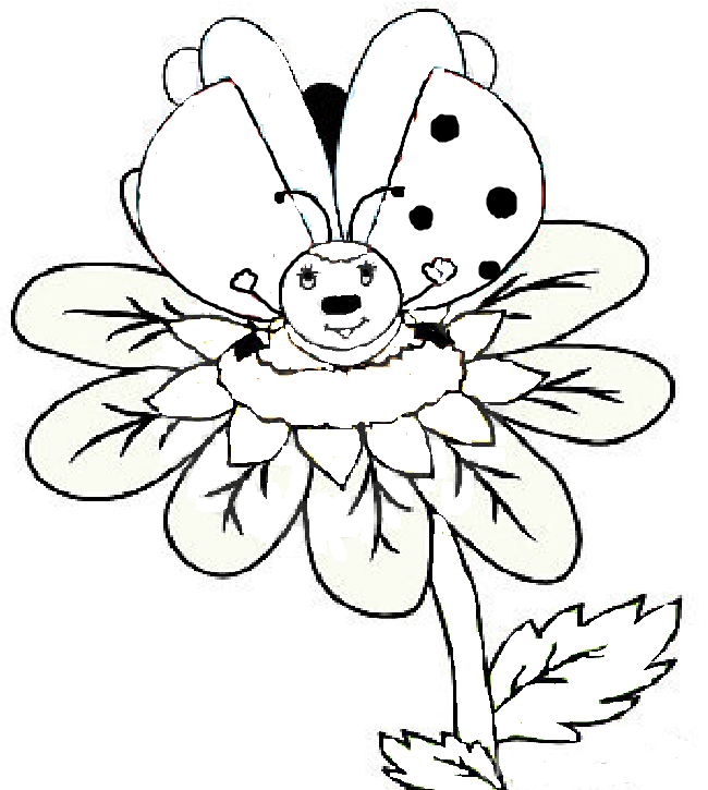 IMAGINI cu GARGARITE de colorat :: Fise de lucru - gradinita si scoala