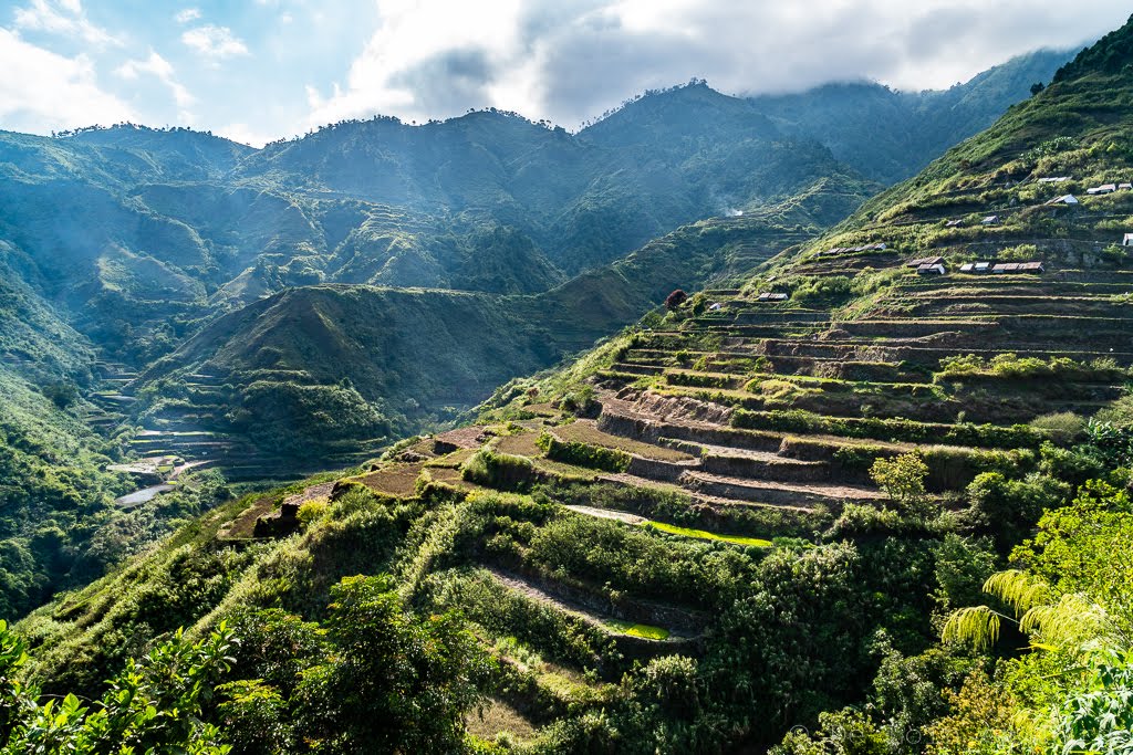 Philippines - jour 2 : Banaue - Buscalan - immersion au pays Kalinga