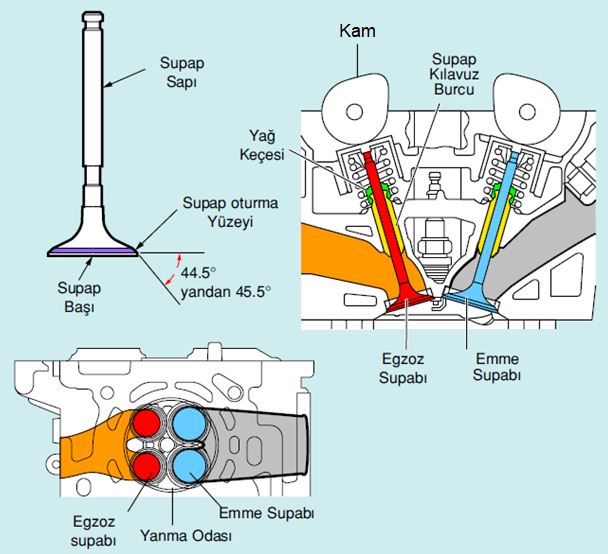 Supap Nedir? Nasıl Çalışır? Supapların Görevi Parçaları Kısımları ve ...