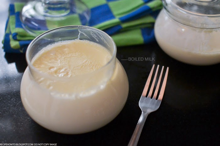 Easy Indian Cooking: Home-Made Indian Yogurt/Curd (Dahi)