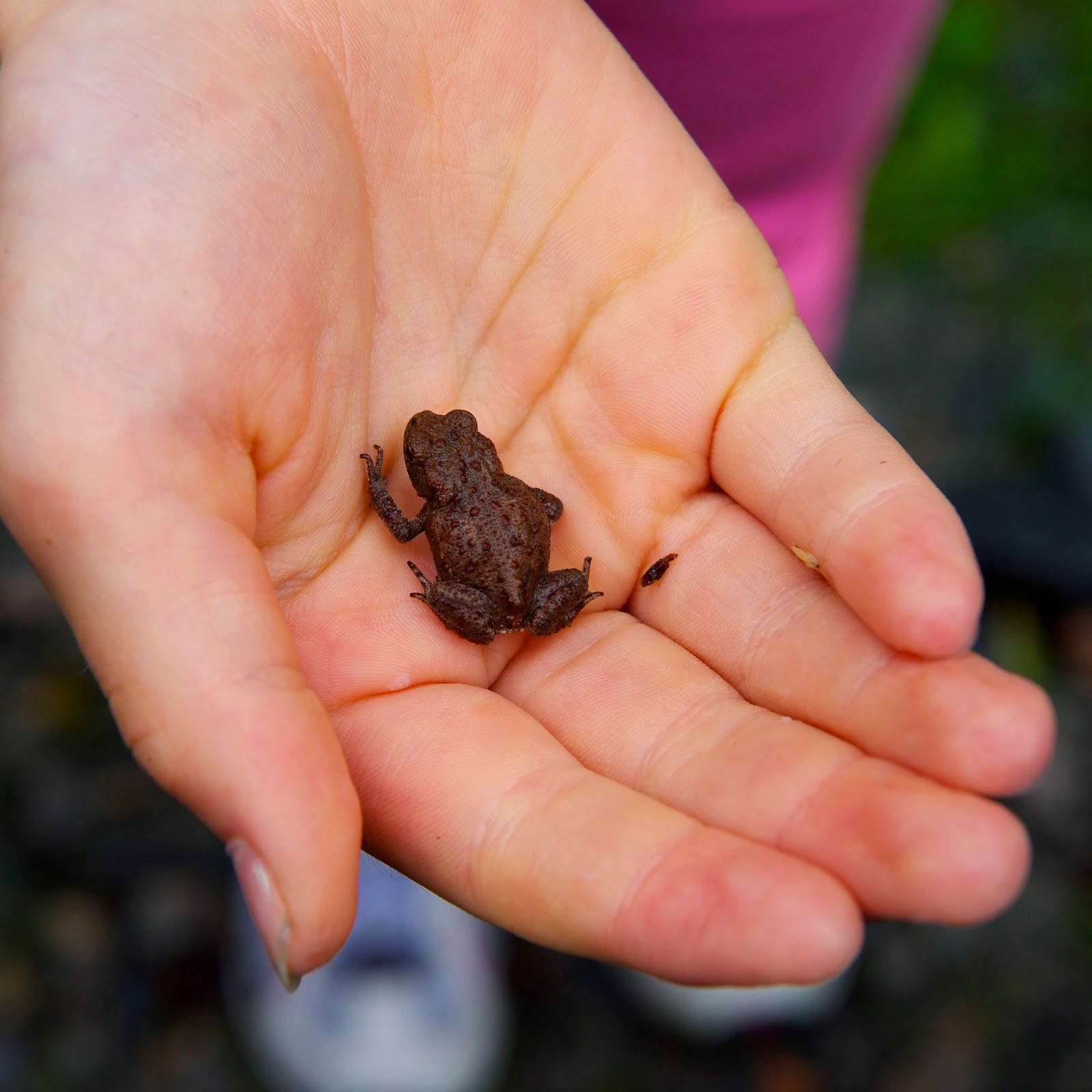 Naturfoto Einar Hugnes: Store og små landskap på Sunnmøre