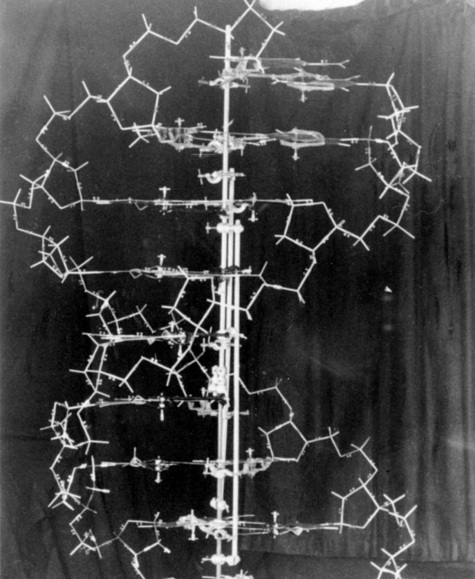 (an)sichten: Die Struktur der DNS Teil 2: Das Modell
