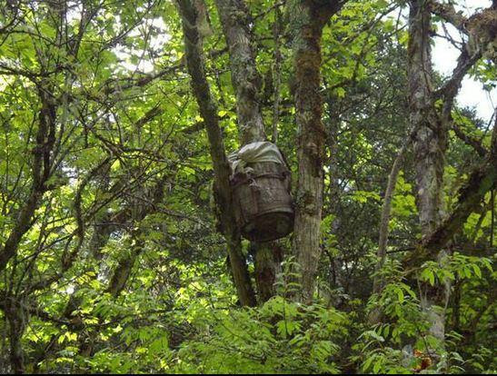 Deformutilation: Tibetan Tree Burial