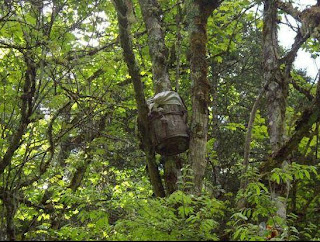 Deformutilation: Tibetan Tree Burial