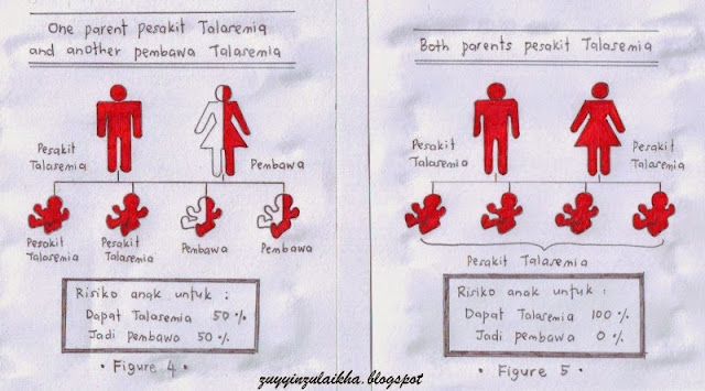 Tanda-tanda Talasemia dan Cara Merawatnya | Blog Ummiiyad