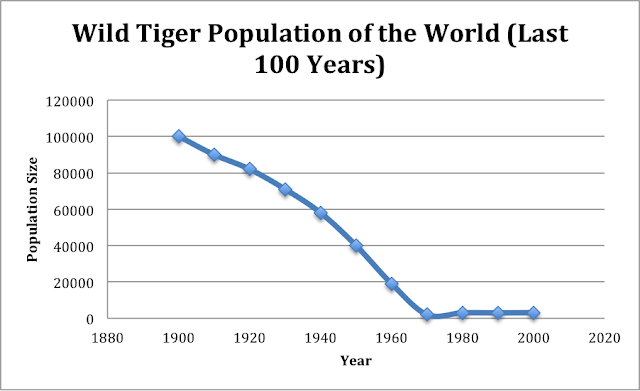 Let's Save Bengal Tigers!: Background Information