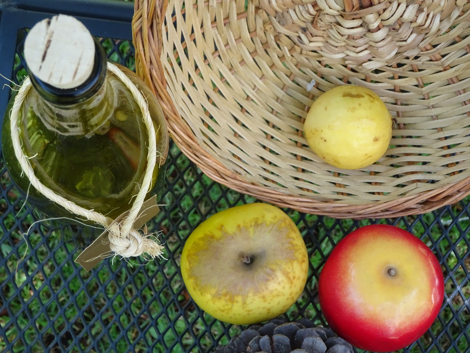 Relación Fotógrafo-Objeto. Normal, Picado, Contrapicado, Cenital y Nadir.