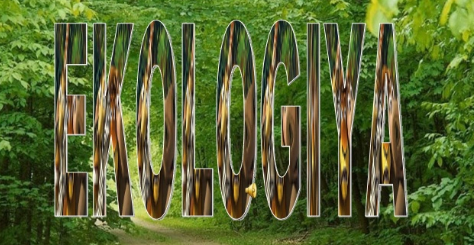 Canlılar aləmi: Ekolologiyanın əsasları