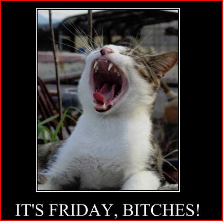 JDX1029.com: " Friday Animal House Happy Hour"