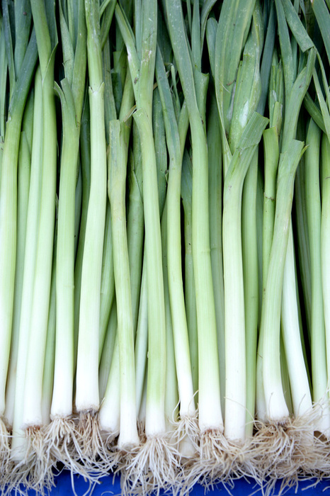 LEEK And GARLIC The Little Wonders of Nature! A Brief History and Its ...