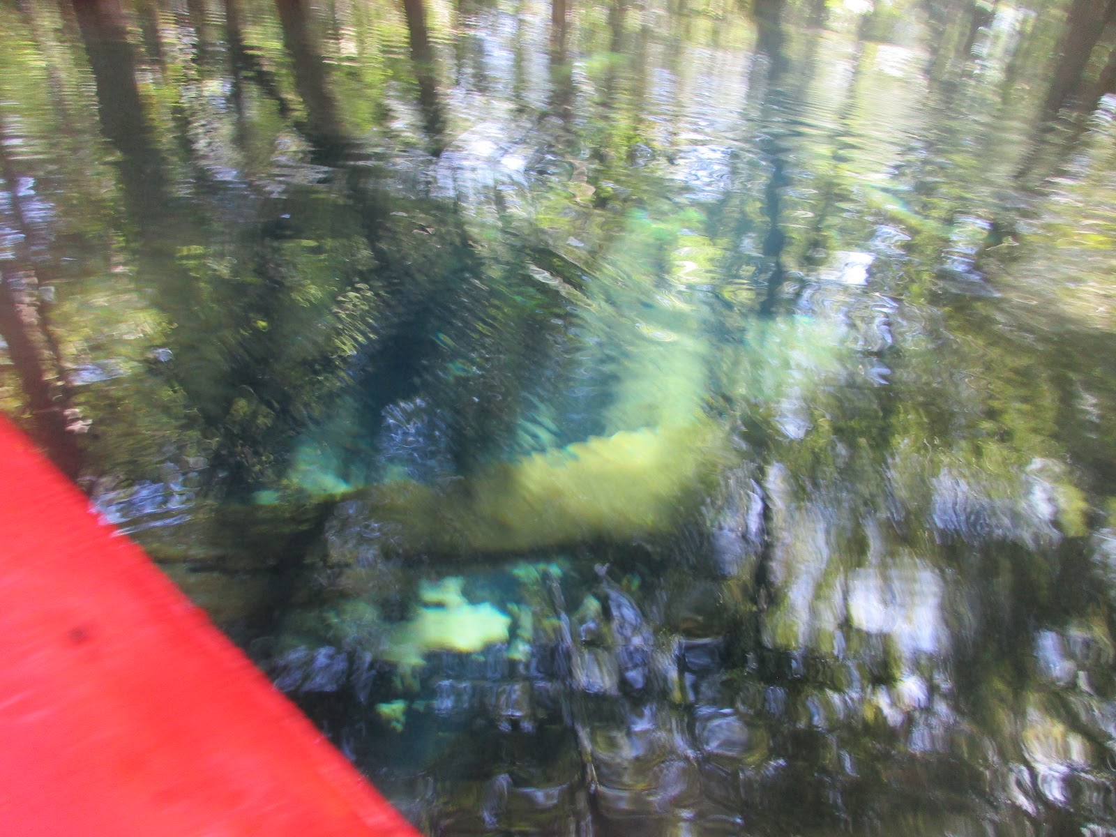 Dave's Yak Tales: Wacissa River