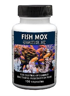 Survival and Preparedness on a Budget: Fish Antibiotics for EMERGENCY ...