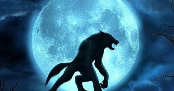 LES 3 ACTUS DES COP'S: Loup-Garou, créature fantastique