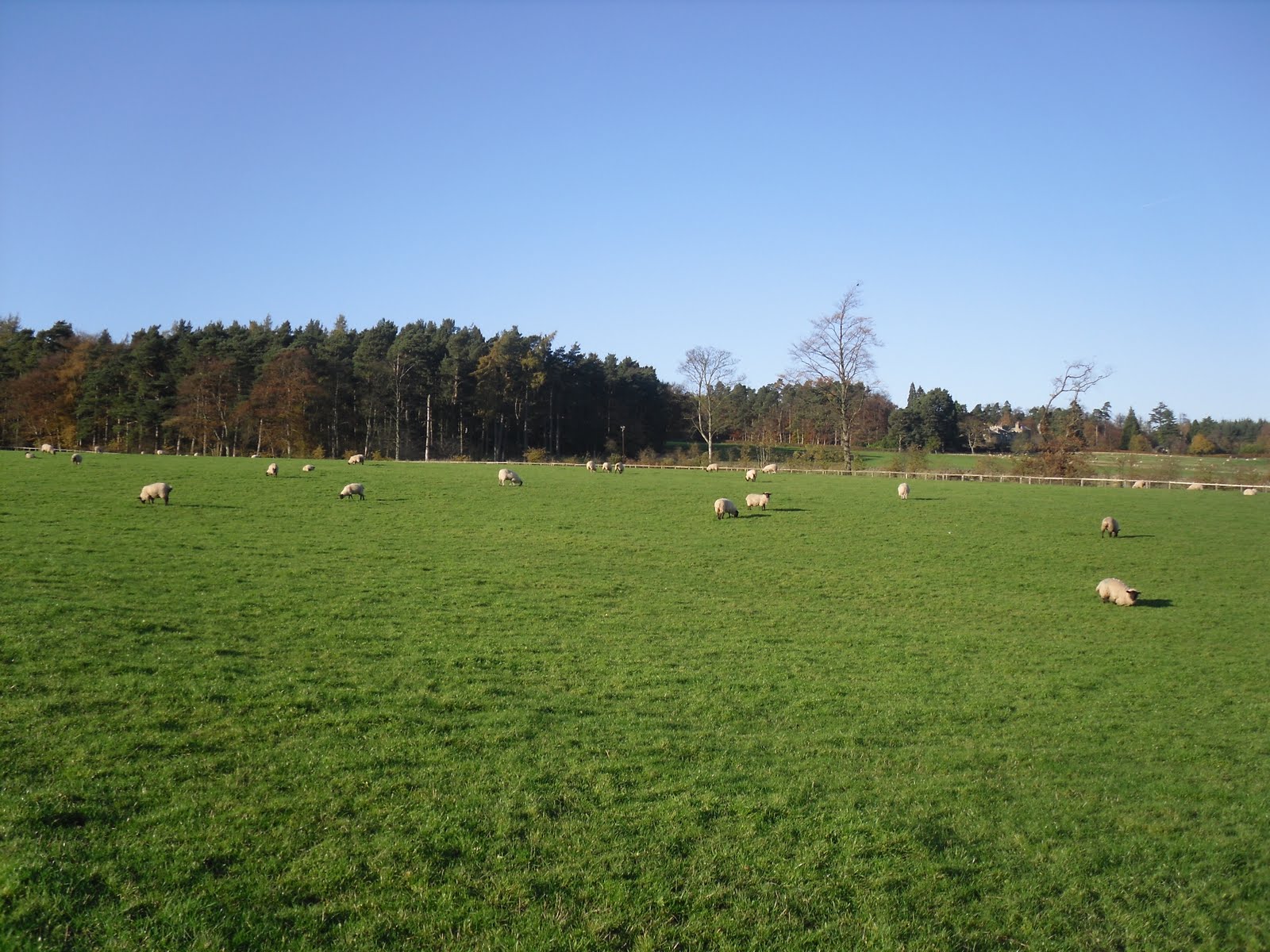 Rambling Nana: Wolsingham, Tunstall Reservoir Circular