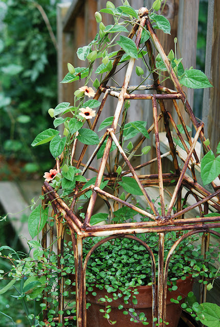 Romantic Wire Vine - Jill Ruth & Co.