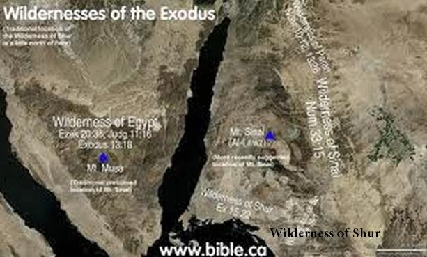 Neurotherapy-of-Christian-Brain: The Only Son Offered for Sacrifice ...