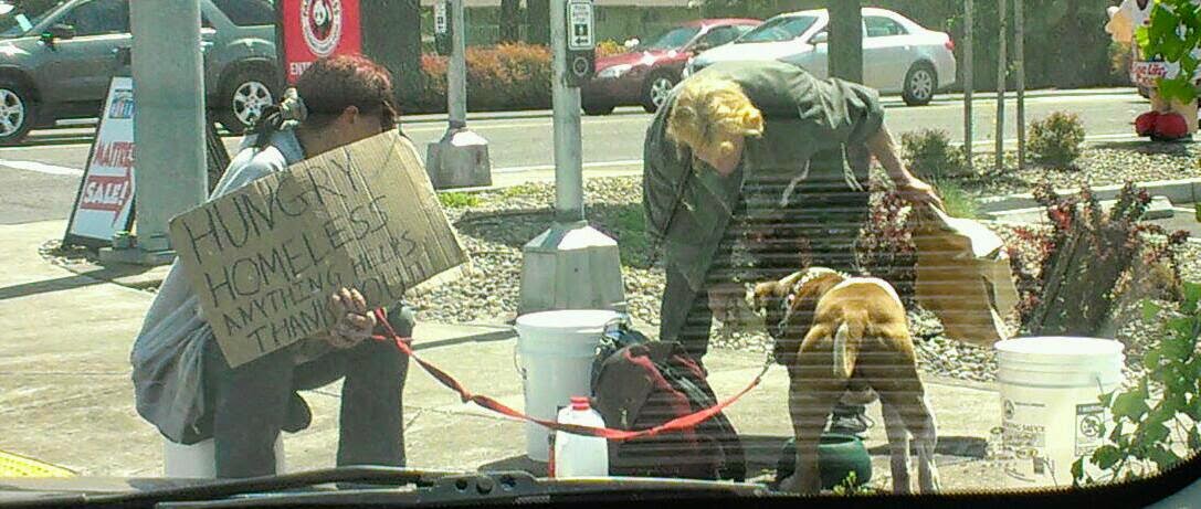 craven desires: pets, pits and poverty