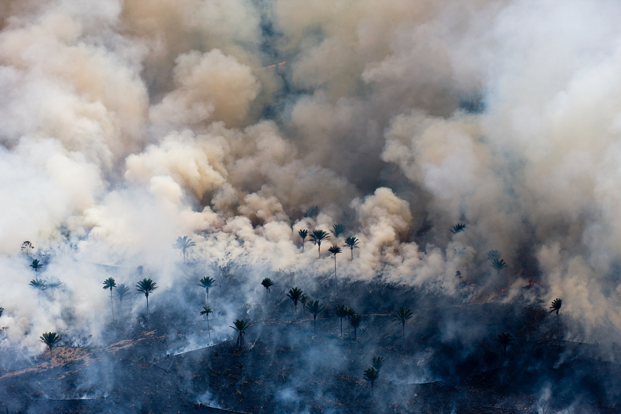 Vanishing Amazonia: Rainforests on Fire