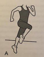 What are the optimal biomechanical principles of long jump?